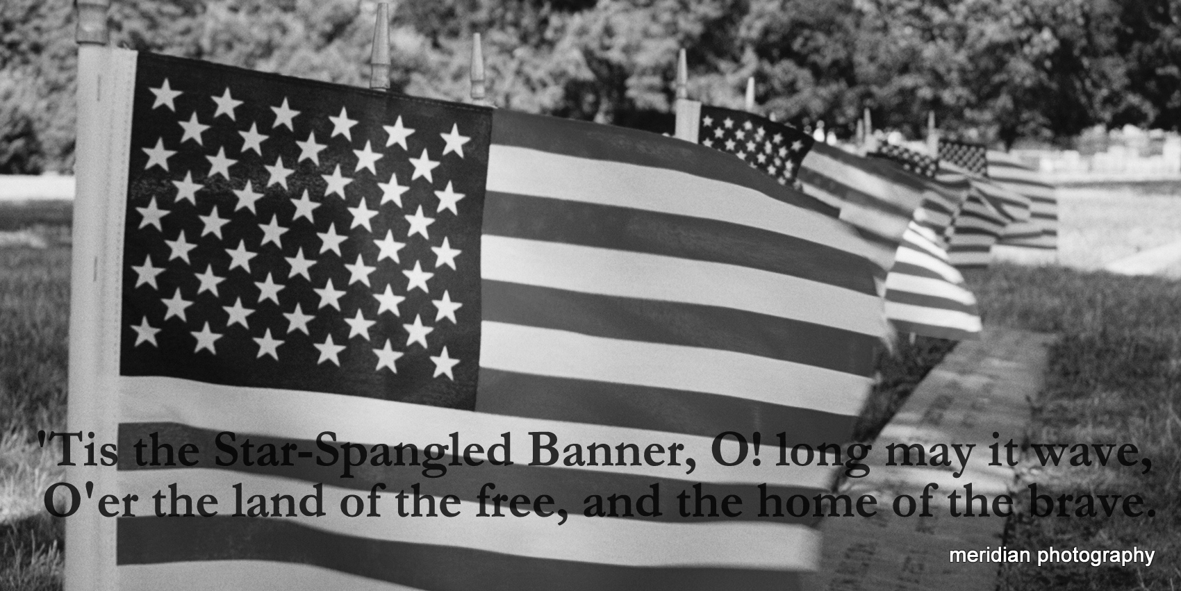 Guest Post – James McGarvey